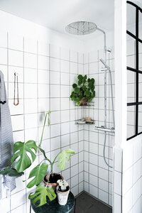 Tradition Chrome Shower System [https://damixa.com]