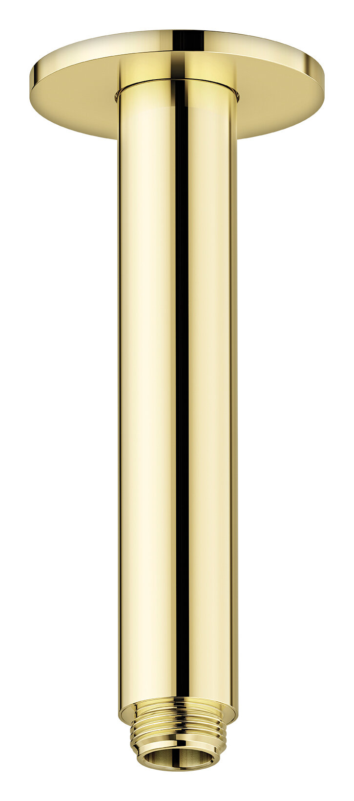 Concealed Polished Brass PVD Shower Arm - Ceiling Mounted [https://damixa.com]